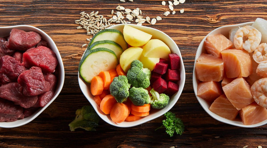 Hund richtig barfen - Wichtige Tipps im AniForte Magazin