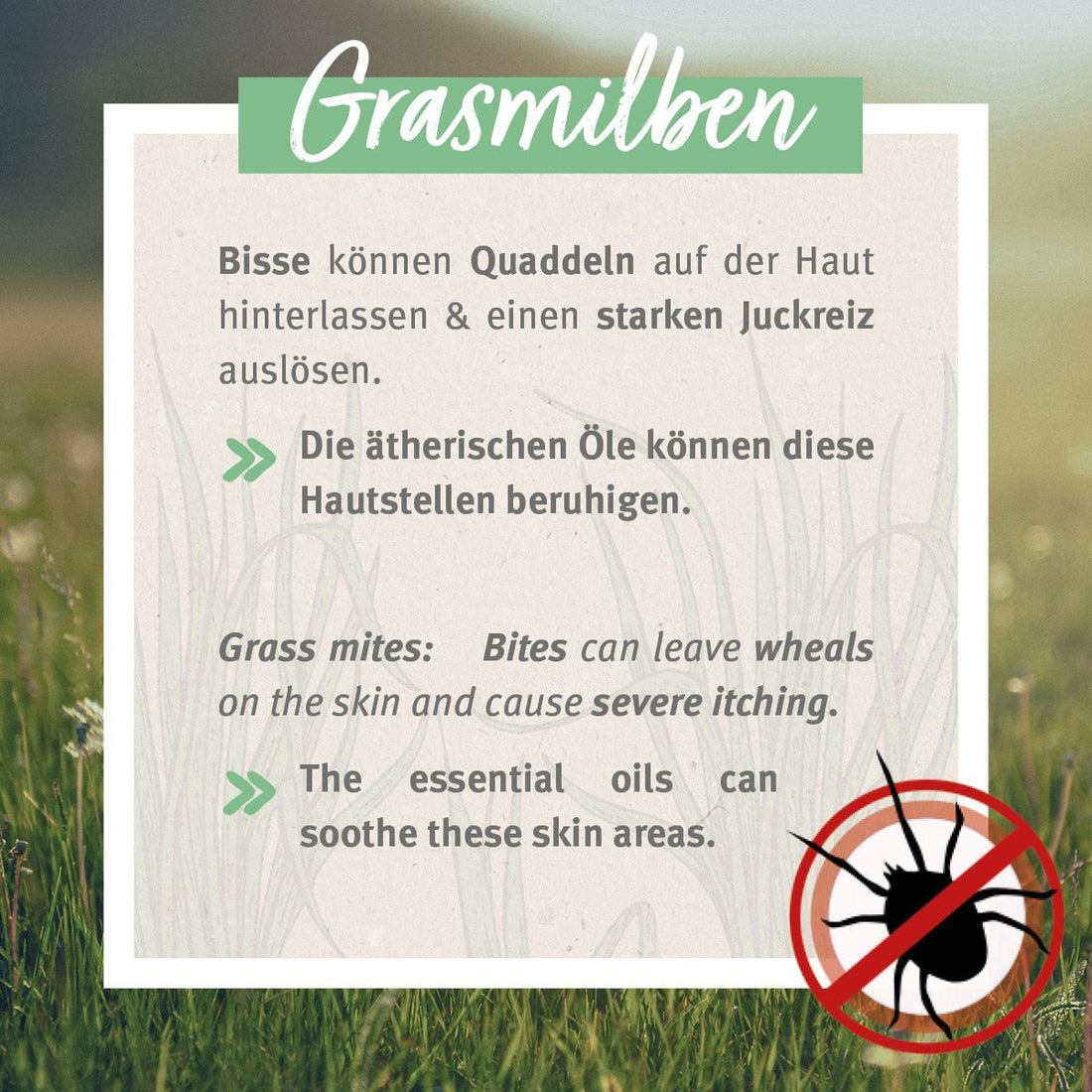 Grasmilben-EX Spray für Deinen Hund kaufen